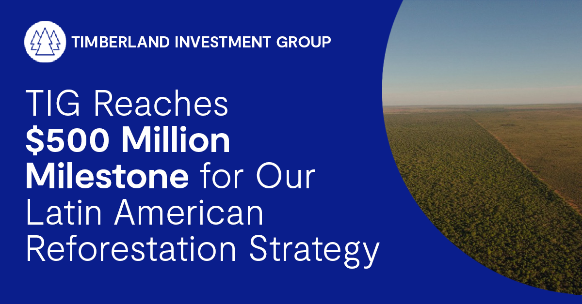 BTG Pactual TIG Reaches $500 Million Milestone for Its Latin American ...