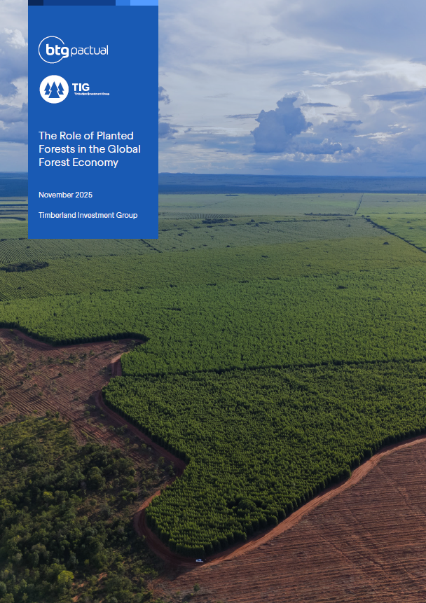 The Role of Planted Forests in the Global Forest Economy - TIG